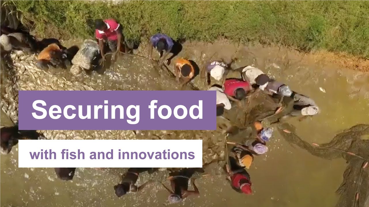 Securing food with fish and innovations - YouTube