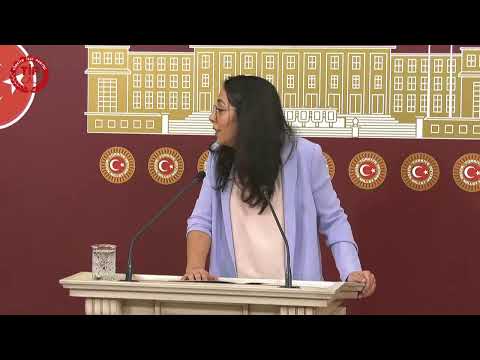 Parti Sözcümüz Sera Kadıgil, TBMM'de basın açıklaması düzenliyor. #25Kasım