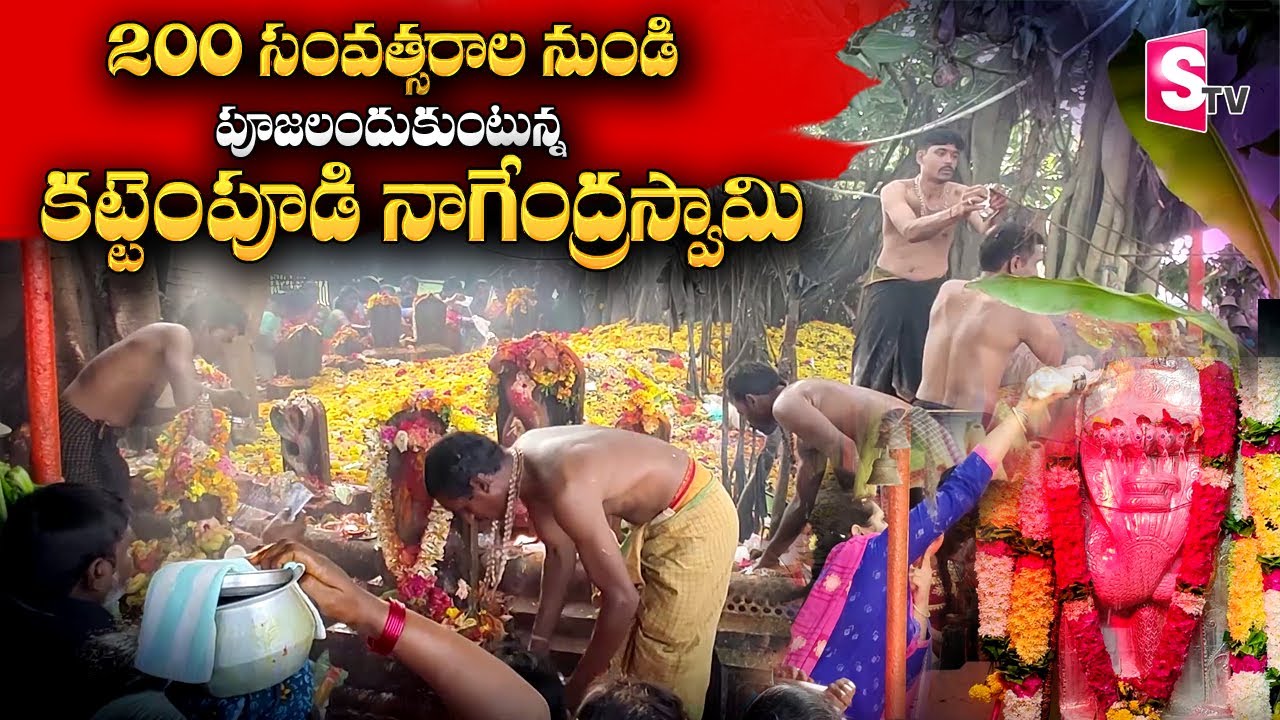 Nagula Chavithi Pooja in Telugu | Sri Nagendra Swamy Vaari Devasthanam ...