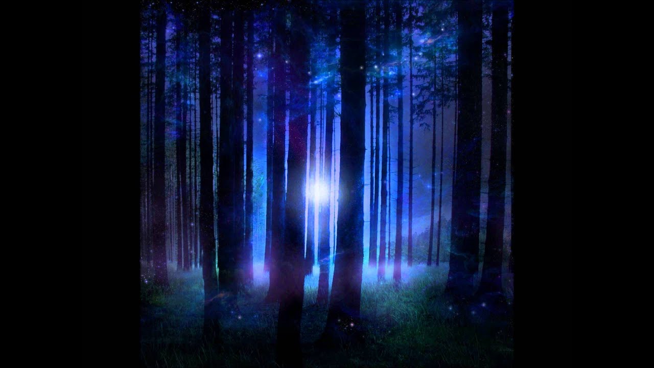 The Forest At Night - YouTube