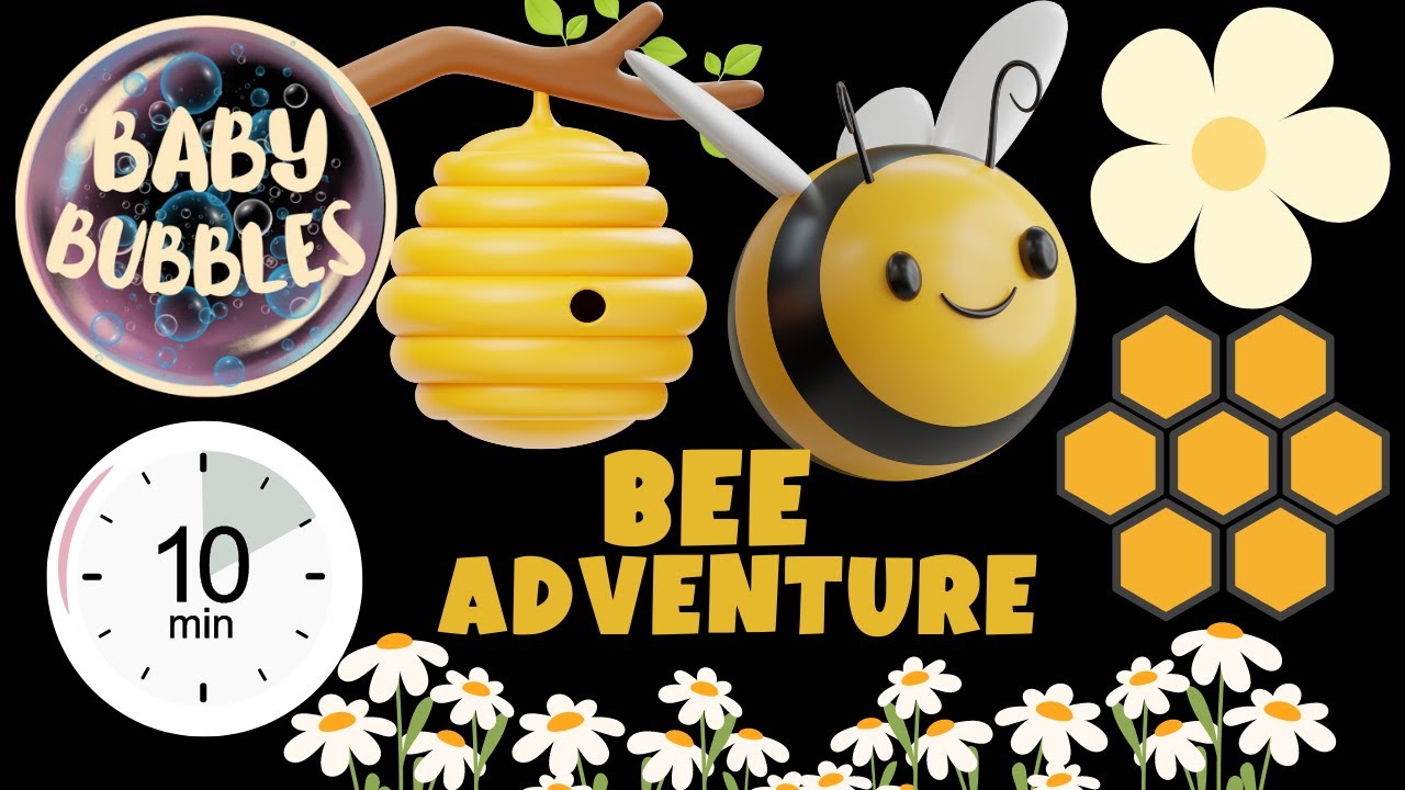 DANCING BEE ADVENTURE! Baby Sensory. High Contrast Video. Soothing ...