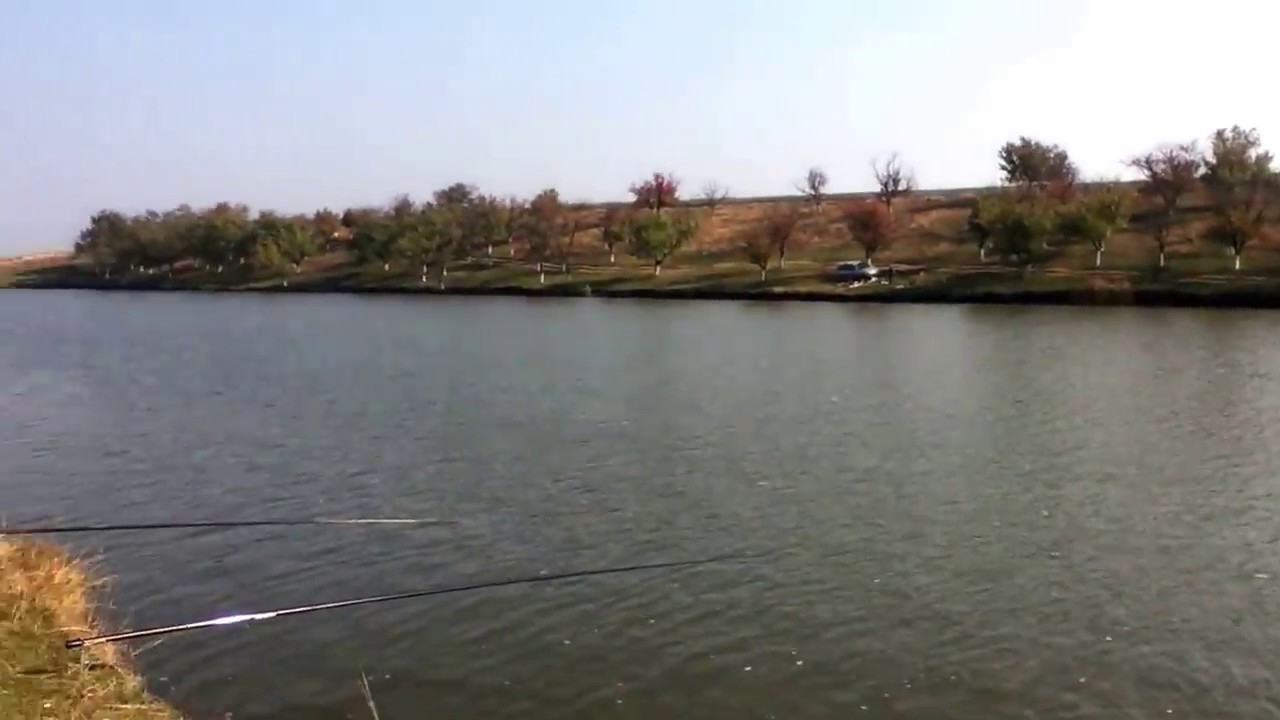 Balta Belciugatele 4 La livada (pescuit,balta,crap) - YouTube