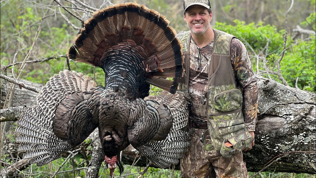 Epic Eastern Turkey Hunt: Trophy Tom with 1.5” Spurs! 🦃🏹 - YouTube