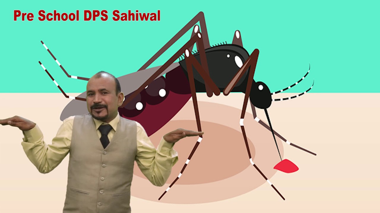 DPS Sahiwal nursery poems New poems 2021 kids poems urdu - YouTube