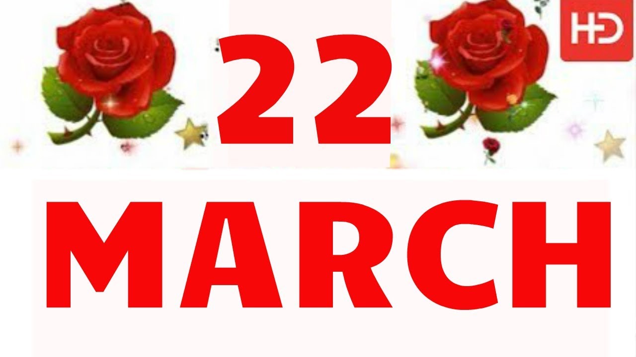 22 MARCH Special New Birthday Status Video , happy birthday wishes ...