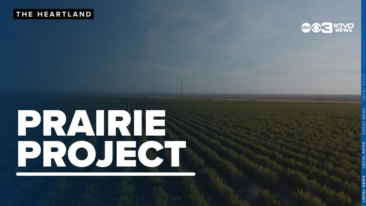 New prairie project aims to transform 40,000 acres while producing ...