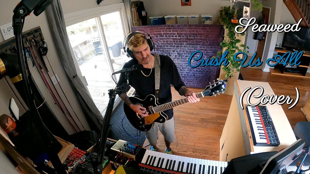 Seaweed - Crush Us All (Cover Song) #coversong #seaweedband # ...