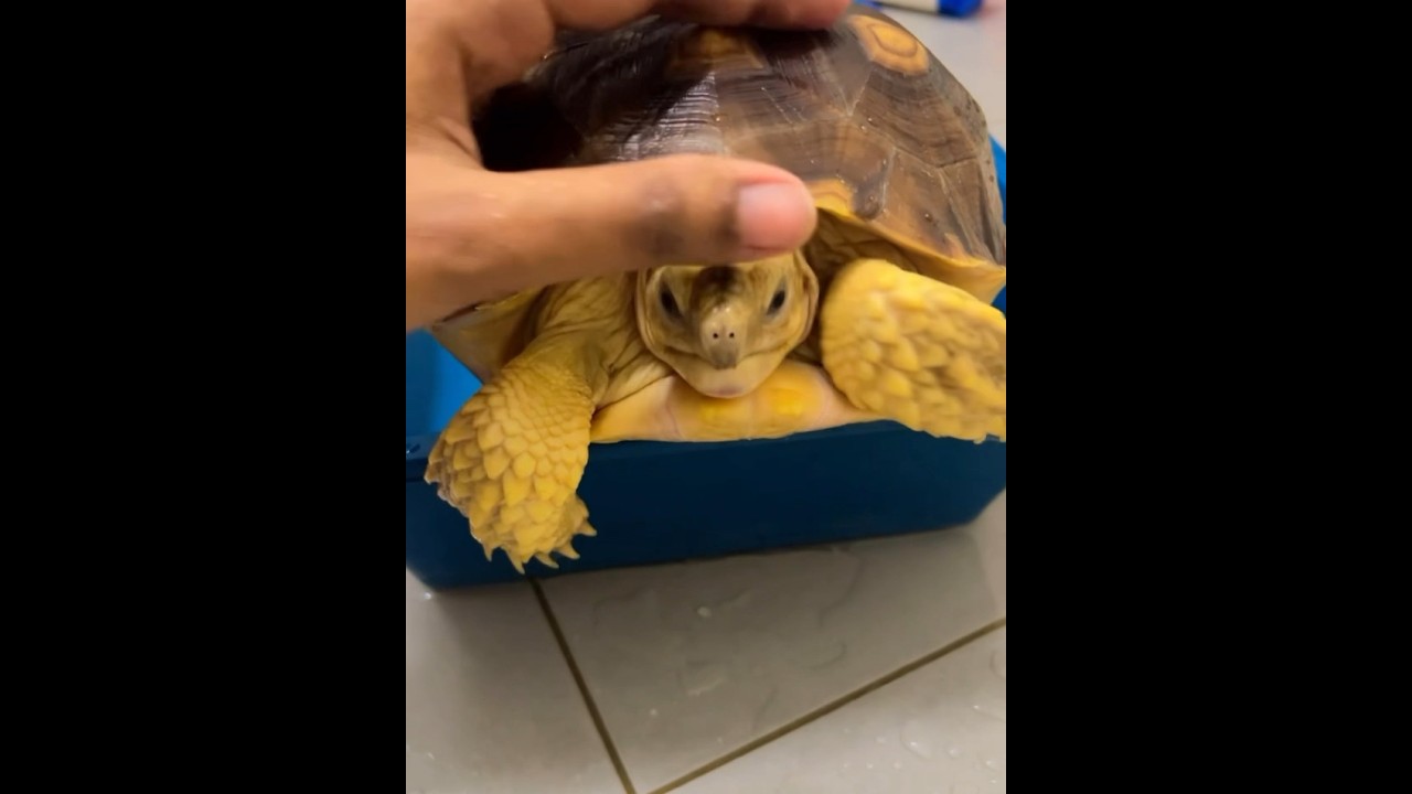 Mummy please take me out. I'm donewith poop pee time. # ...