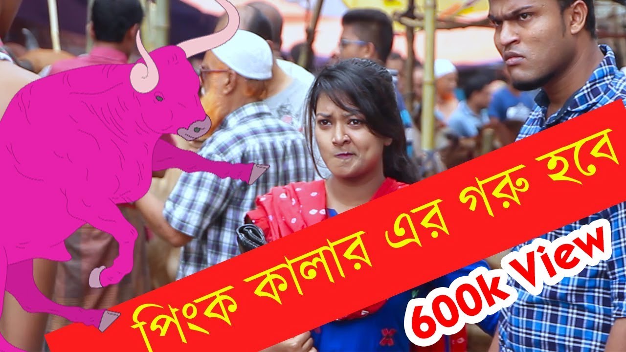 পিংক কালার এর গরু হবে ? | Bangla New Funny Video | Bangla Fun | Mojar ...