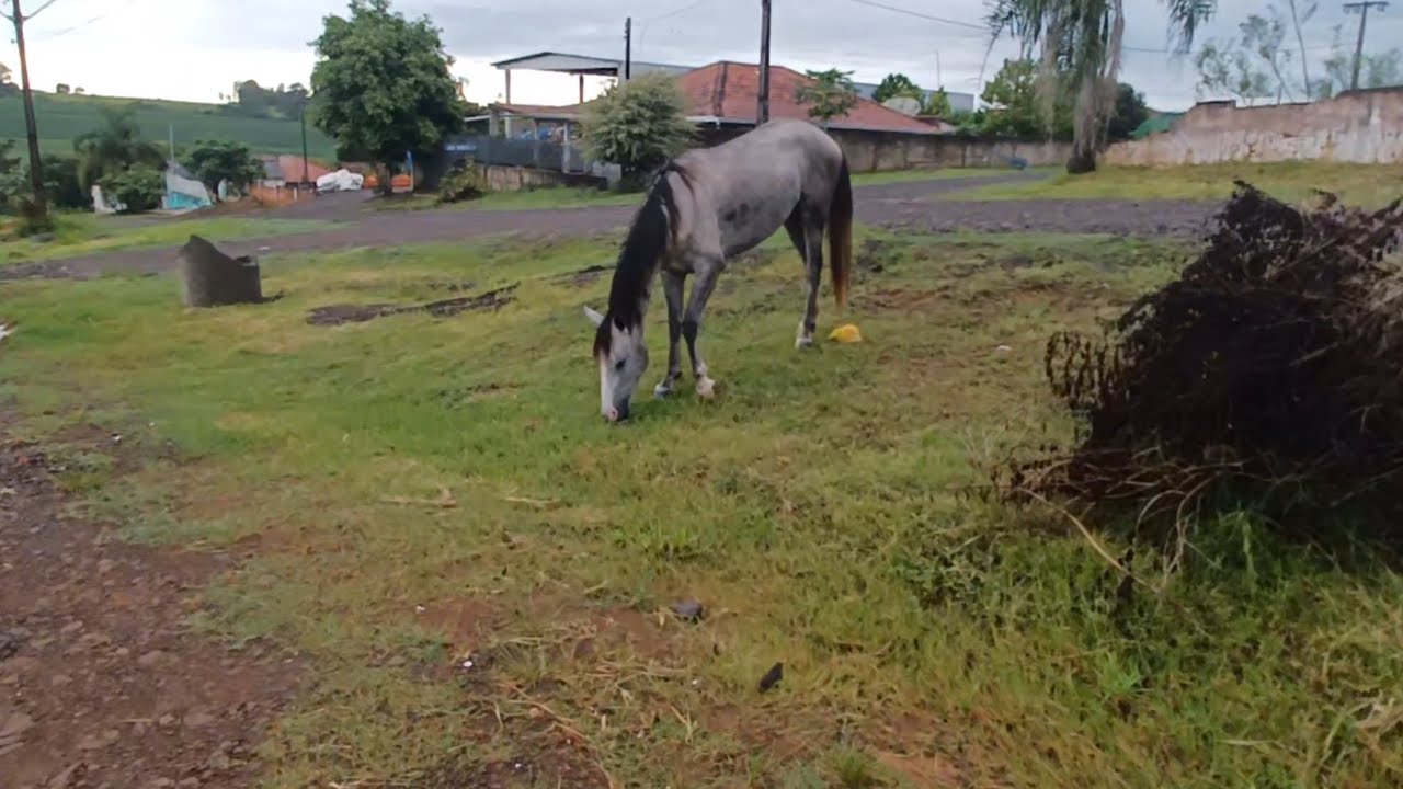 Mostrando um pouquinho do Patrimônio da Santa Maria do Rio do peixe ...