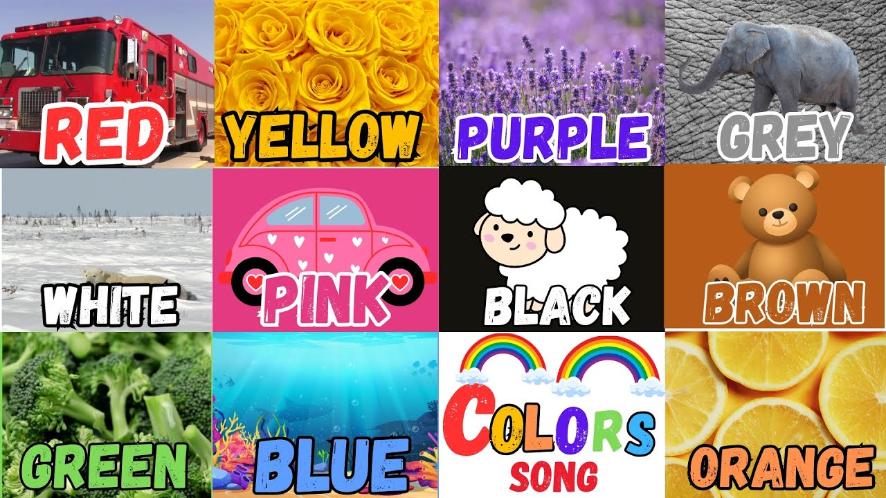 Color Song For Kids | Learn Color Names | #ColorSong | #LearnColors ...