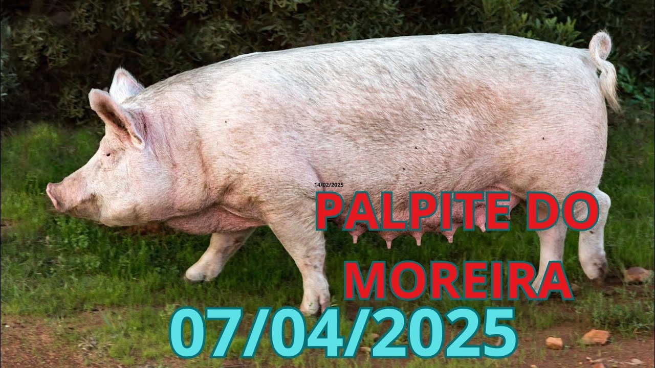 PALPITE DO DIA 07/04/2025-JB - YouTube