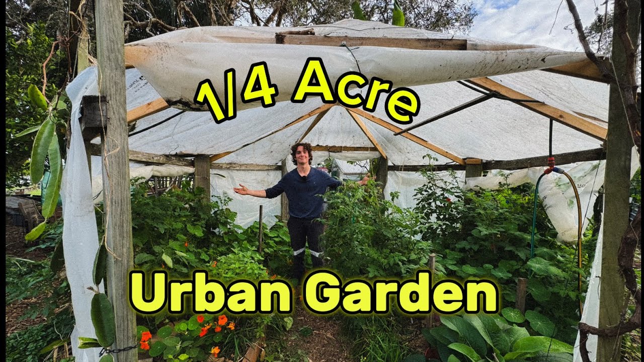 Urban Oasis: Tour of a Quarter-Acre Regenerative Garden - YouTube