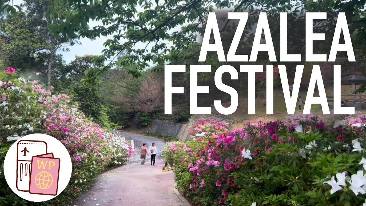 Higashi Village Azalea Festival, Okinawa, Japan - YouTube