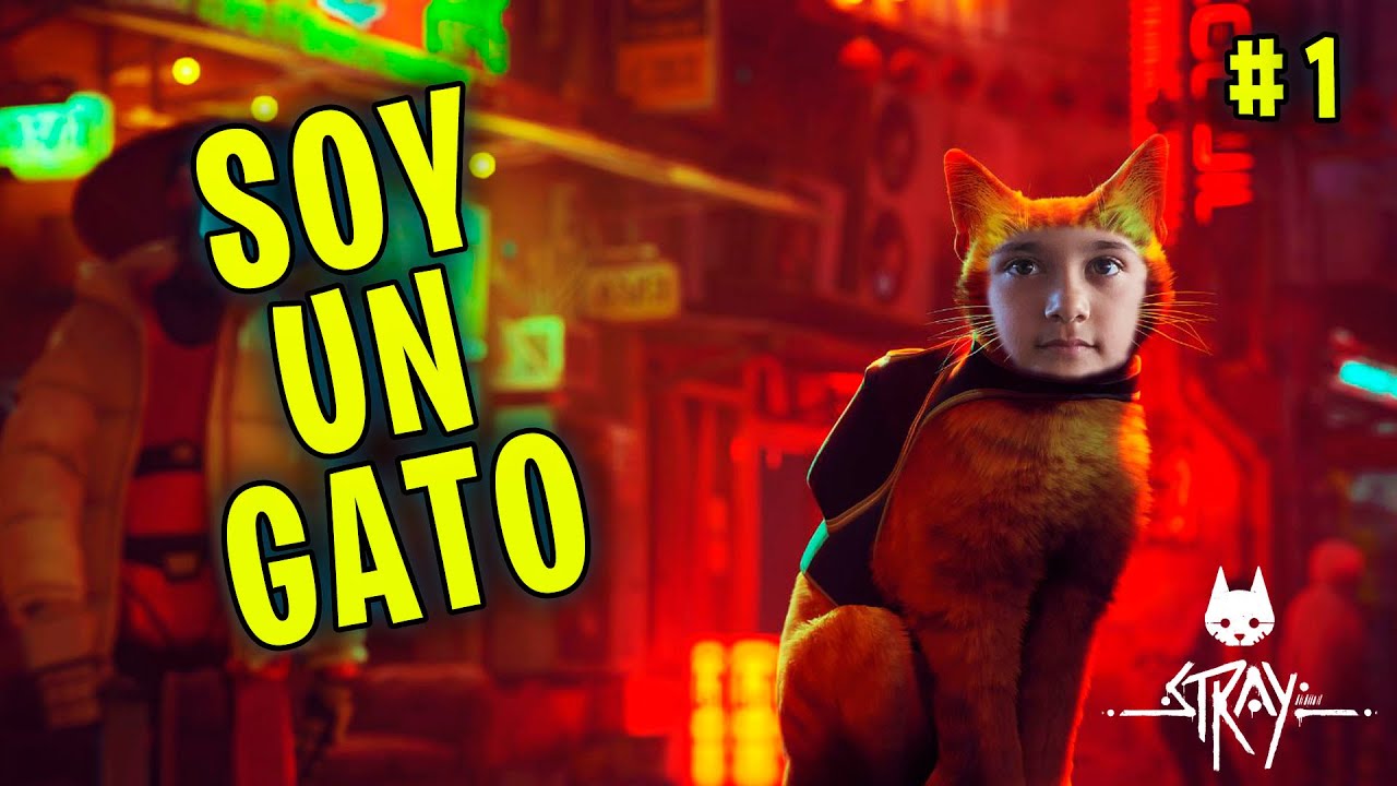 😸Soy Un Gato | Simulador de Gato | 🆂🆃🆁🅰🆈 🐈 - YouTube