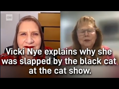 Vicki Nye explains why she was slapped by the black cat at the cat show (CNN interview)