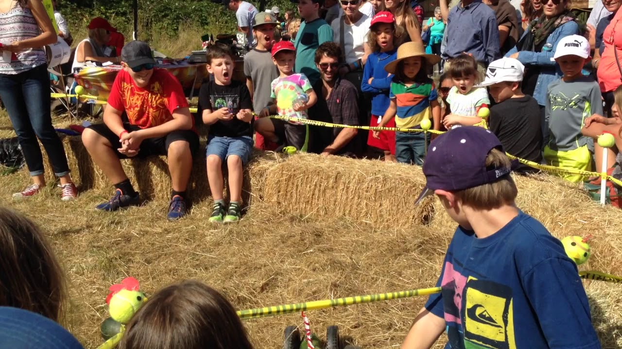 Salt Spring Island - 2017 Fall Fair - Zucchini Racing - YouTube