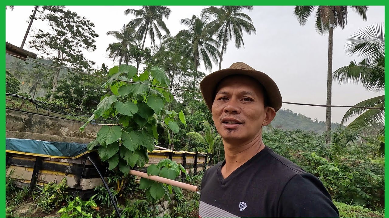 SARI-SARING ALAGA(MANOK,PATO,PABO,GUINEA, GANSA)AT MAY PAGKAIN NAMAN ...
