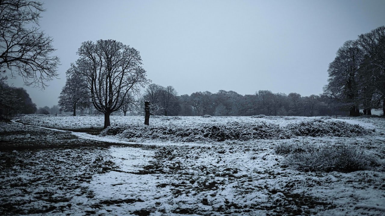 Snow by Louis MacNeice | Spoken Poetry Reading by Ben W Smith - YouTube