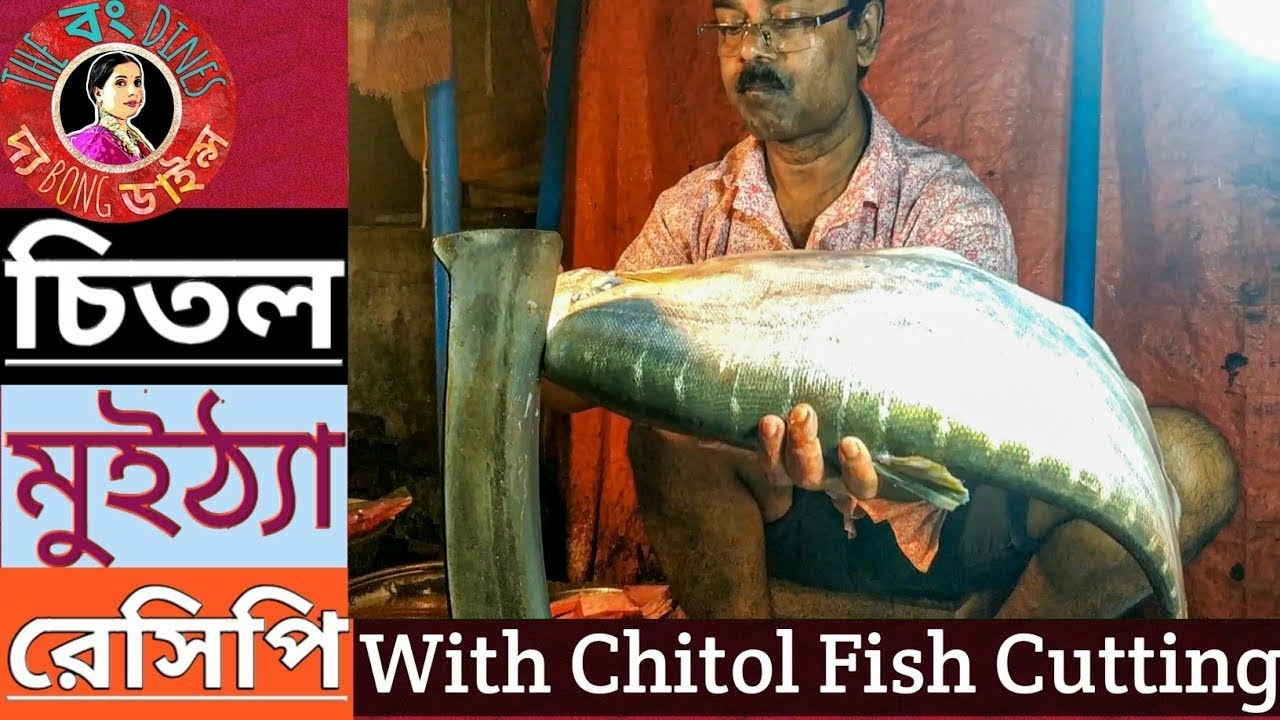 Chital Muitha Recipe | চিতল মাছের মুইঠ্যা |Amazing Chitol Fish Cutting ...