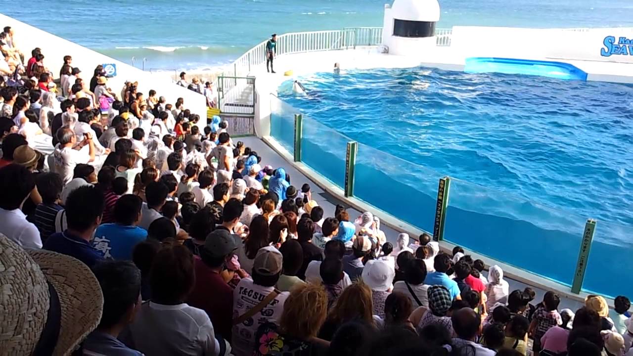 Sea world in tokyo.japan(1) - YouTube
