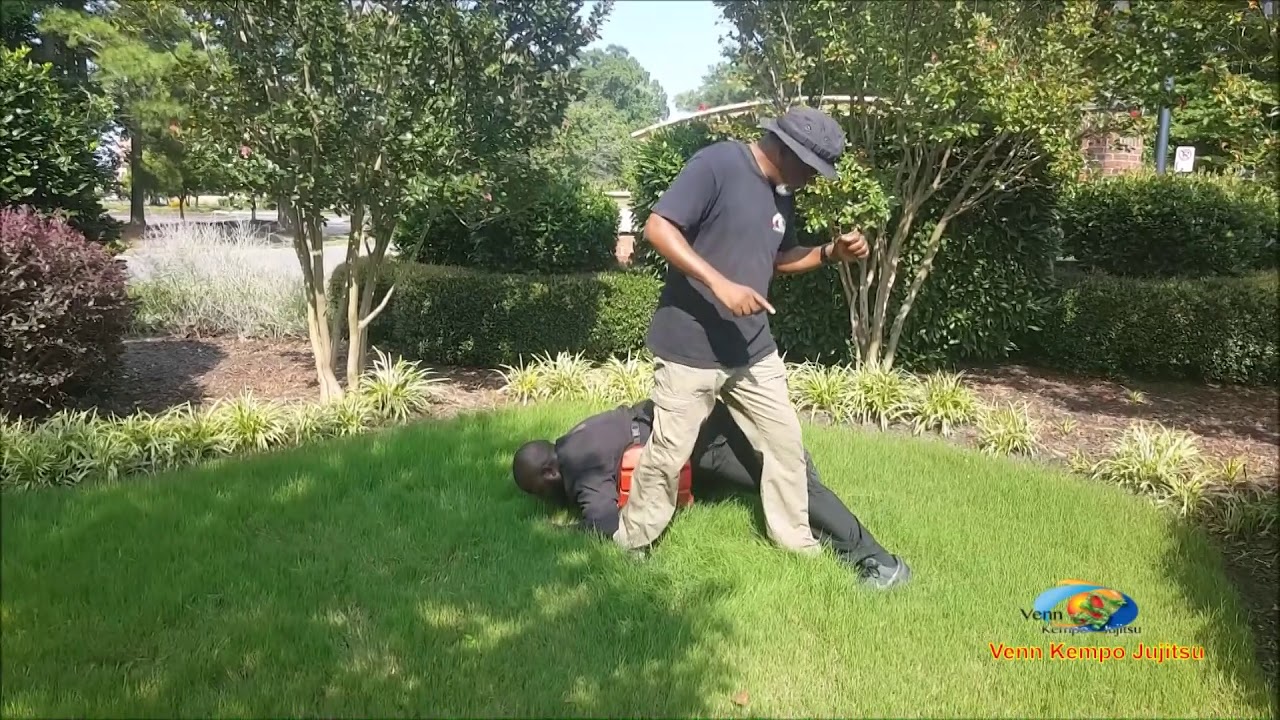 Front Kick - Setup Leg Sweep - YouTube