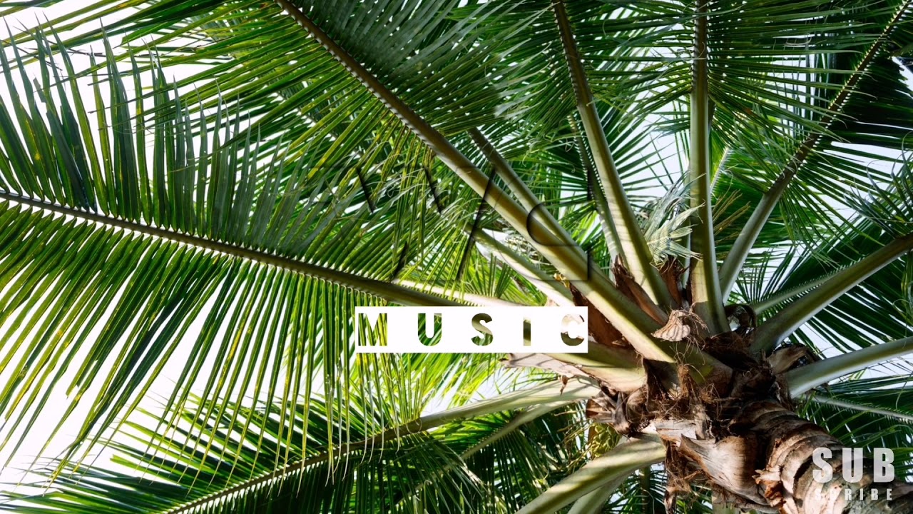 Circuits - Music by (Alexander Nakarada) | WC Music (No Copyright Music ...