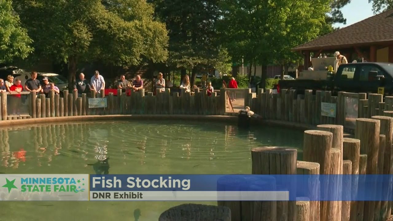 For 112th Year, DNR Pond Stocks State Fair Pond - YouTube