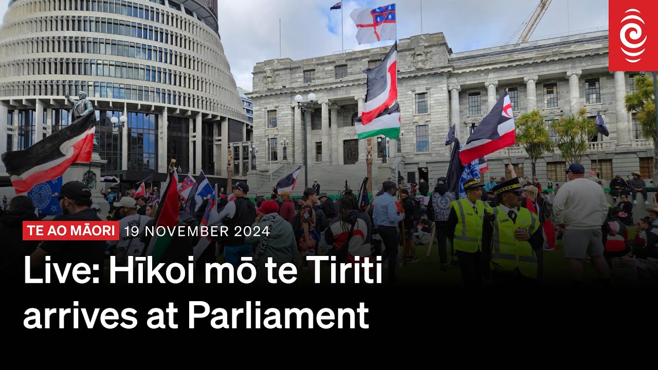 Hīkoi mō te Tiriti arrives at Parliament to protest Treaty Principles ...