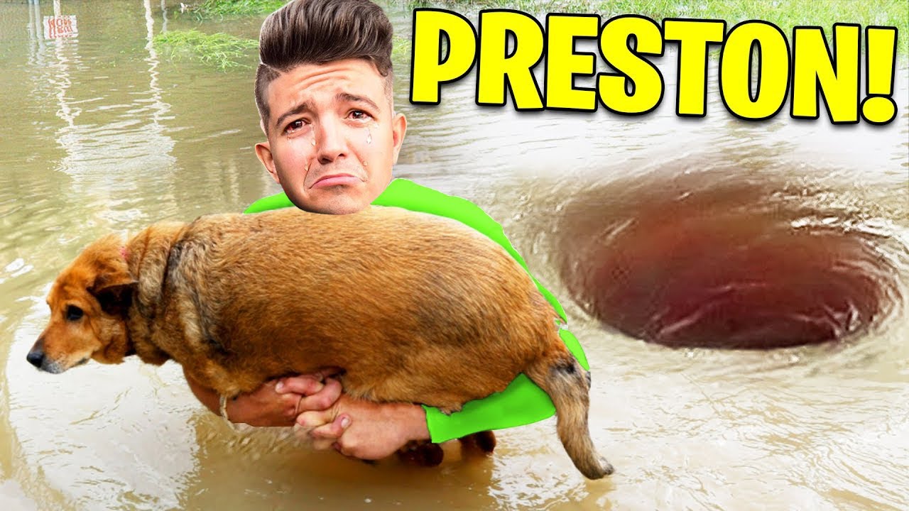 7 YouTubers Who SAVED ANIMALS LIVES! (Preston, Unspeakable ...