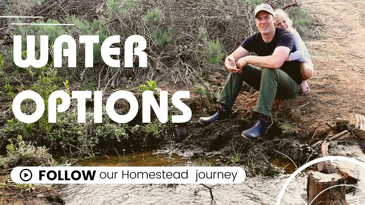 Water on the Homestead: Our options & some key considerations - YouTube