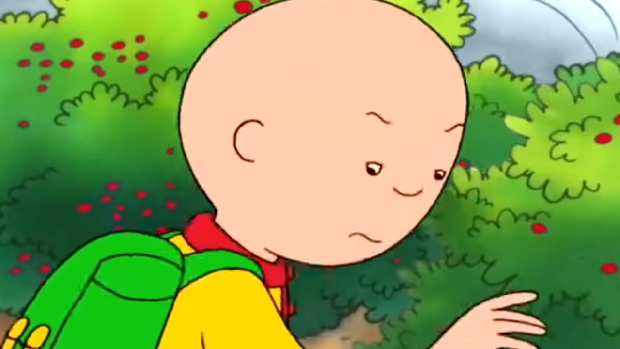 Caillou y las bayas del bosque | Caillou en Español Castellano - YouTube