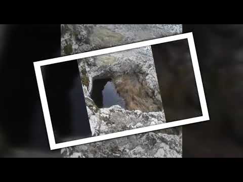 Lerik rayonunun Büzeyir kəndi