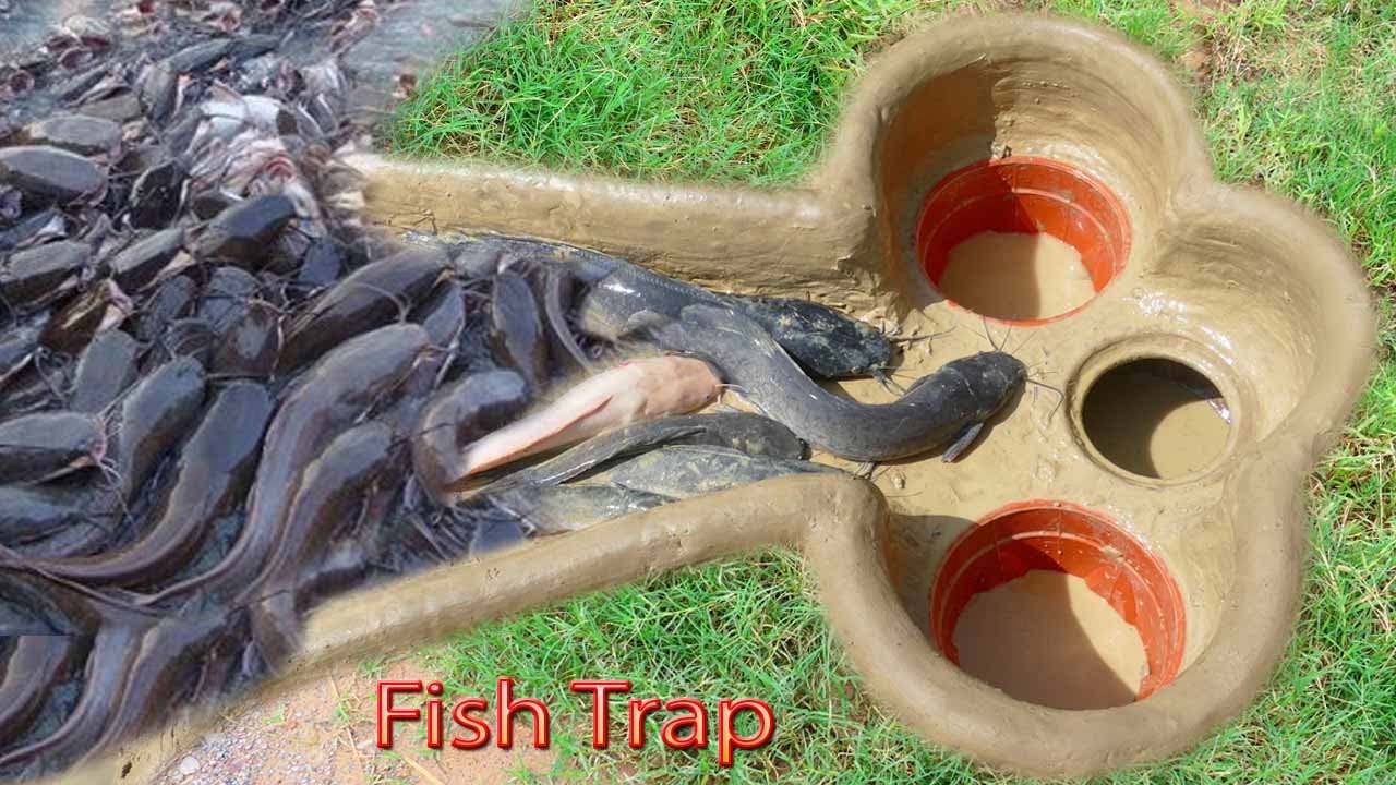 Amazing Fish Trap Build From Clay Pot And Plastic Pot Catch Lot Of Fish ...