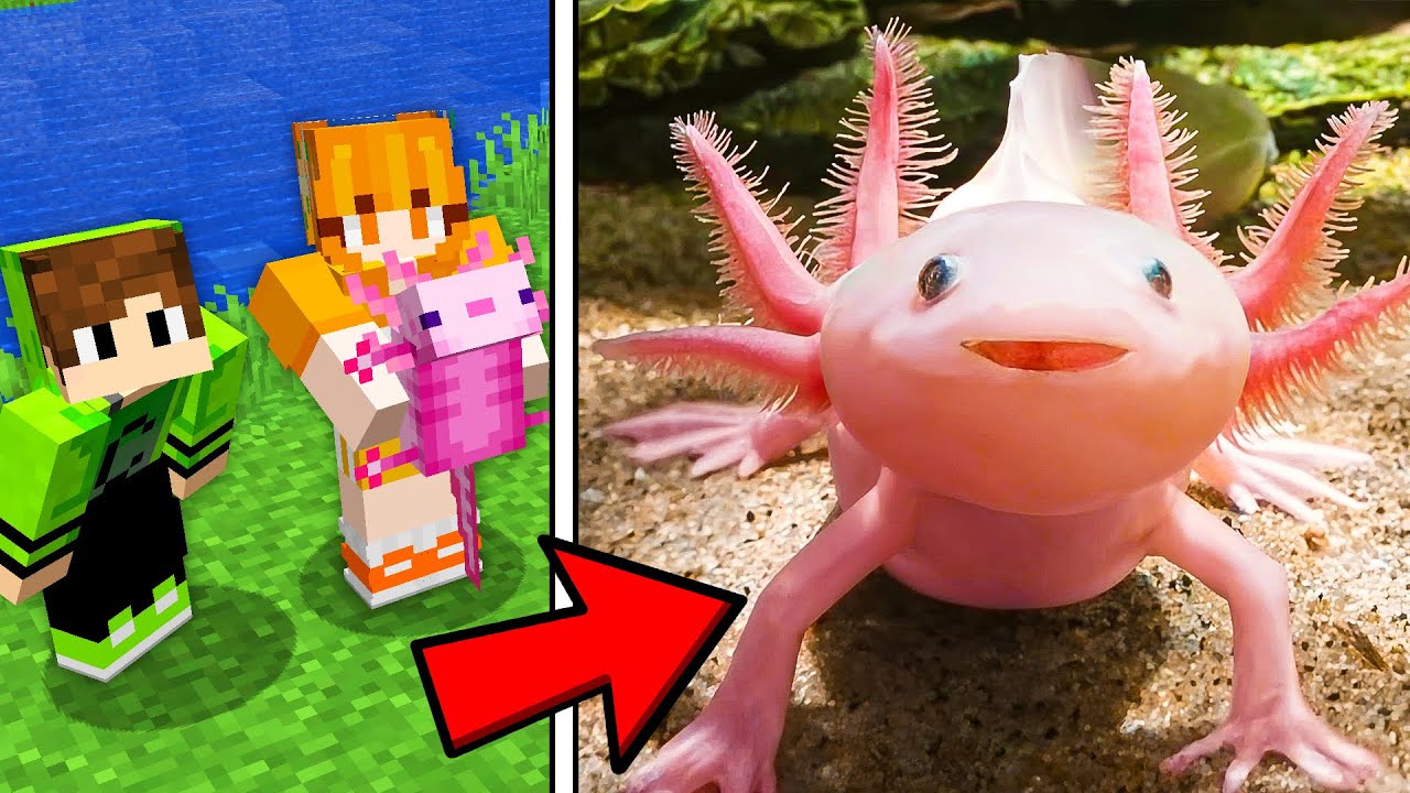 I REVEALED YOUTUBERS PETS IN REAL LIFE - YouTube