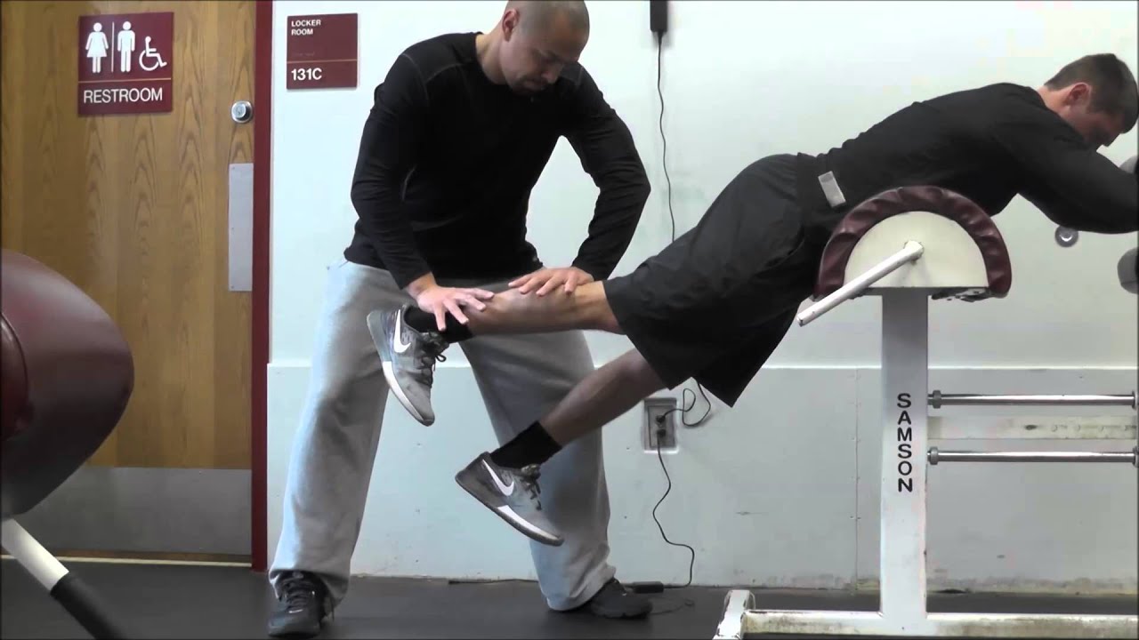 SL Manual Isometric Reverse Hyper - YouTube