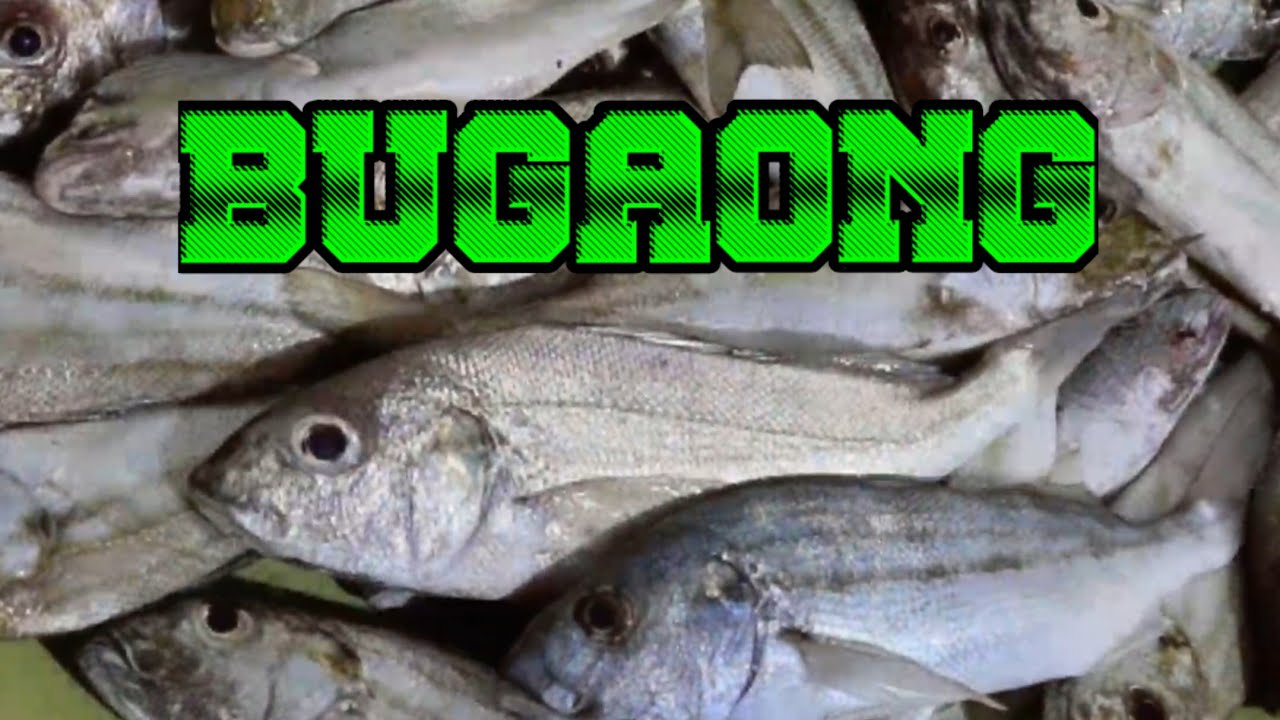 Epi-142- Bugaong in the house muna tyo mga kamachie - YouTube