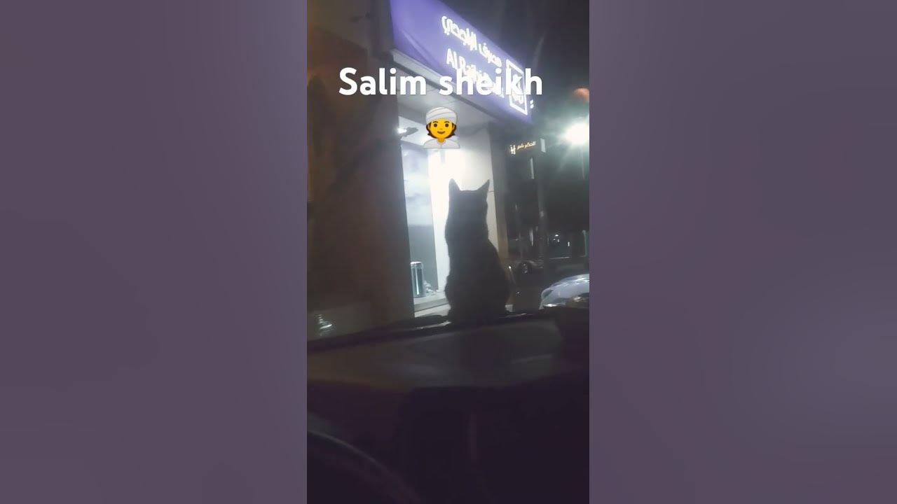 Salim sheikh 👳 - YouTube