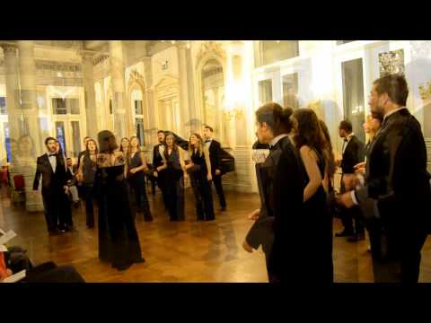 VocaVoice - Avusturya Kültür Ofisi - Teaser