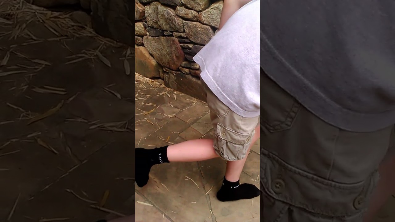 Kid With Bad Stomach Pain YouTube kid-with-bad-stomach-pain-youtube