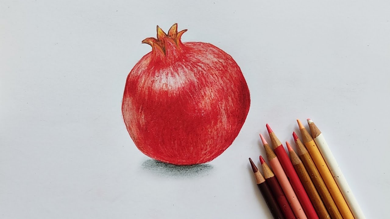 How to draw a pomegranate with color pencil - YouTube
