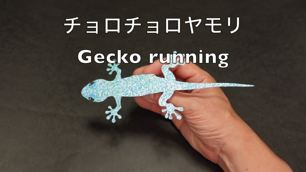 チョロチョロヤモリ Gecko running - YouTube