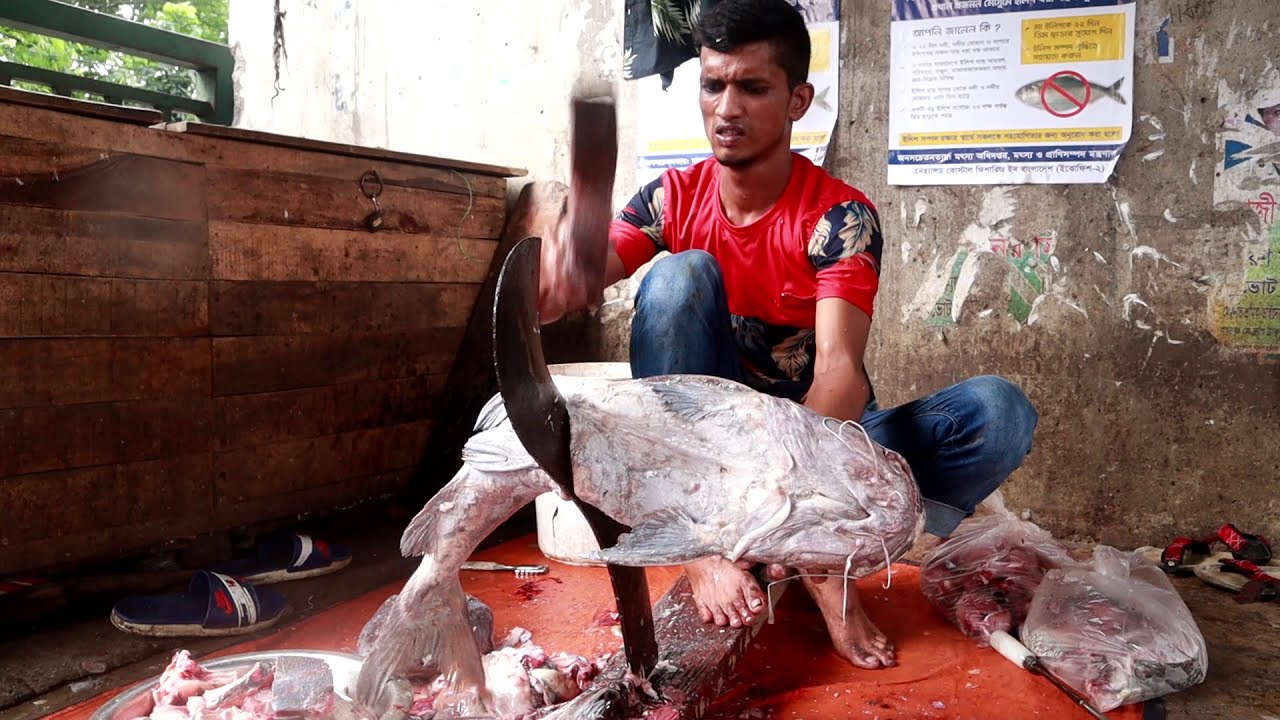 Big Bagha Ayre Fish Cutting Into Pieces। Fastest Live Fish Cutting ...