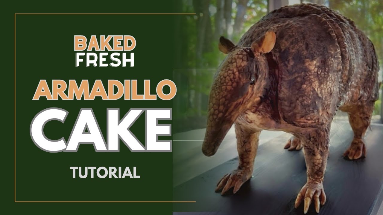 HOW TO MAKE AN ARMADILLO CAKE | a nod to Steel Magnolias - YouTube