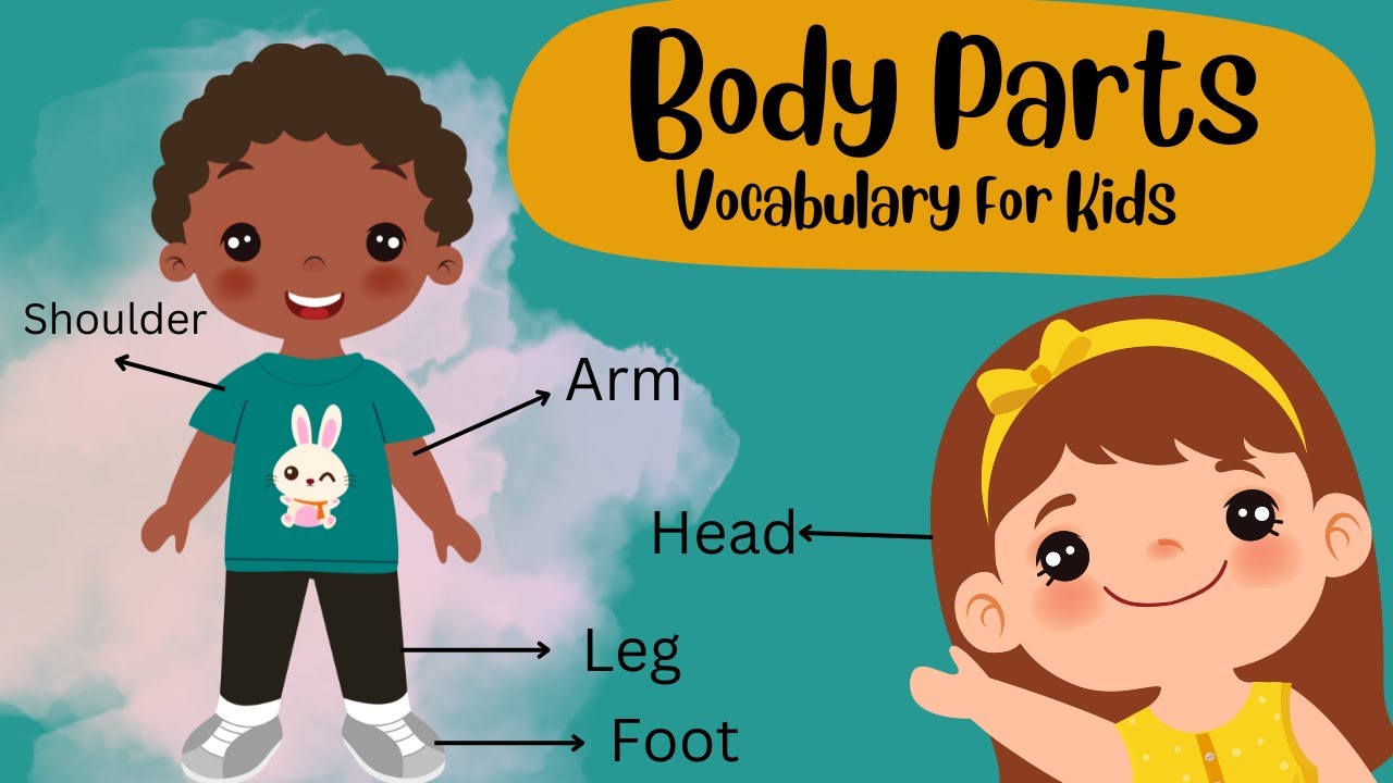 Toddlers learning video: Marvelous Me, body and its parts vocabulary ...