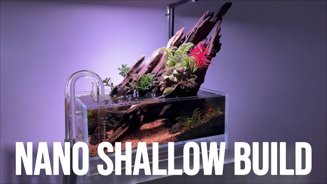 How I built this Nano shallow tank - Tutorial - Full Build Guide - YouTube