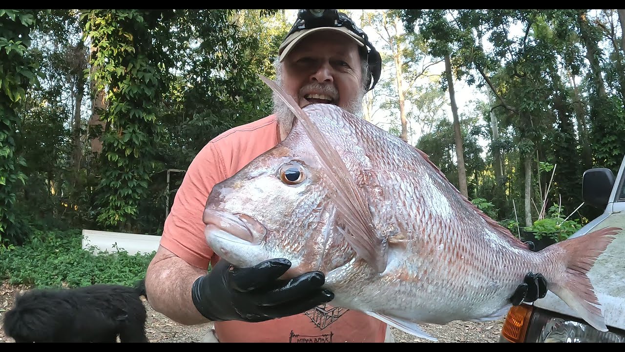 What's biting, inshore, Sunshine Coast 19 9 22. Can you catch snapper over 80cm inshore ...