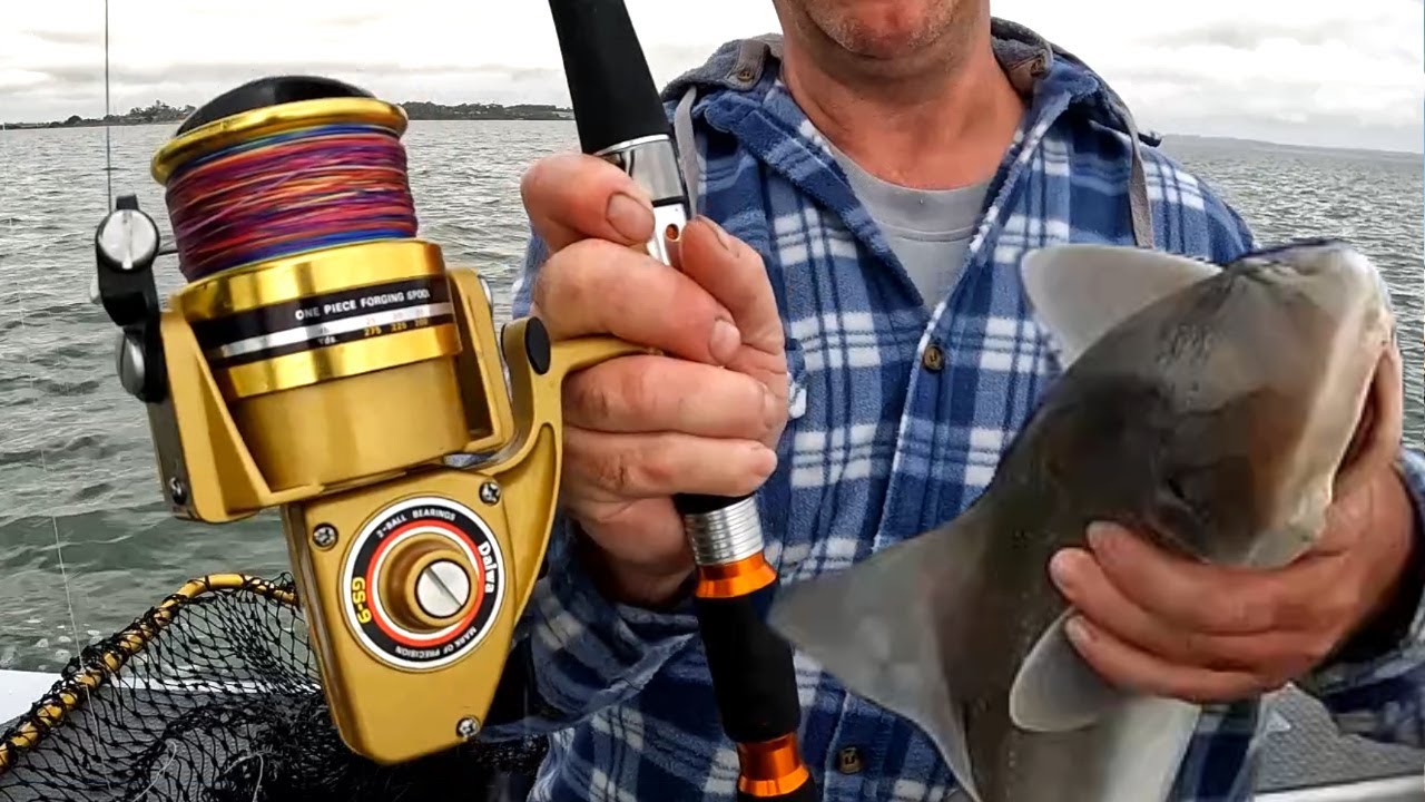 WesternPort Gummy Shark Fishing with Daiwa GS9 Vintage Reel - YouTube