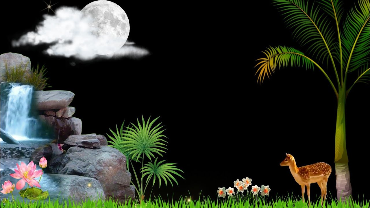 Free Background Template Video | Nature Background Video | Template ...