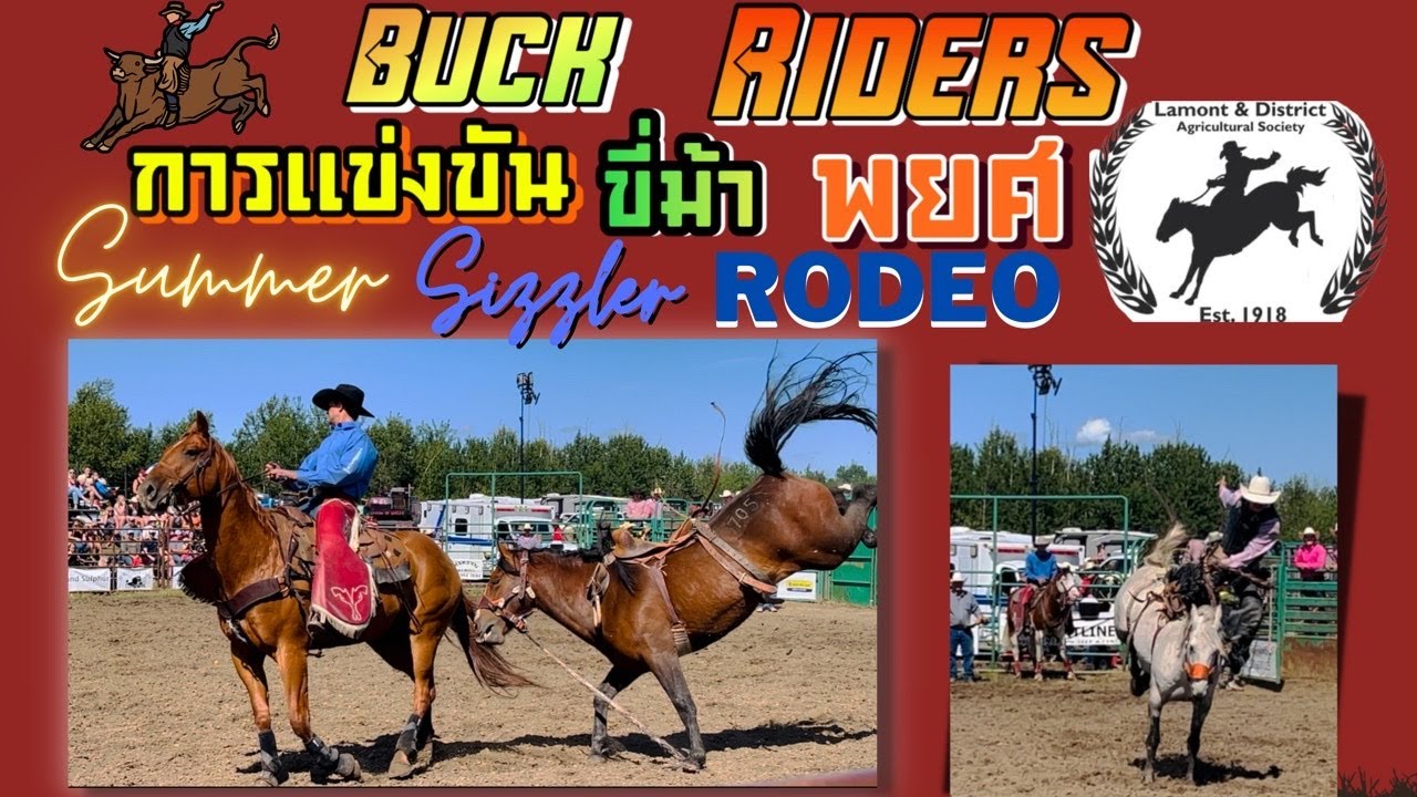 Buck Riding @Summer Sizzler Rodeo,Lamont,Canada สุดระทึก! การแข่งขันขี่ ...